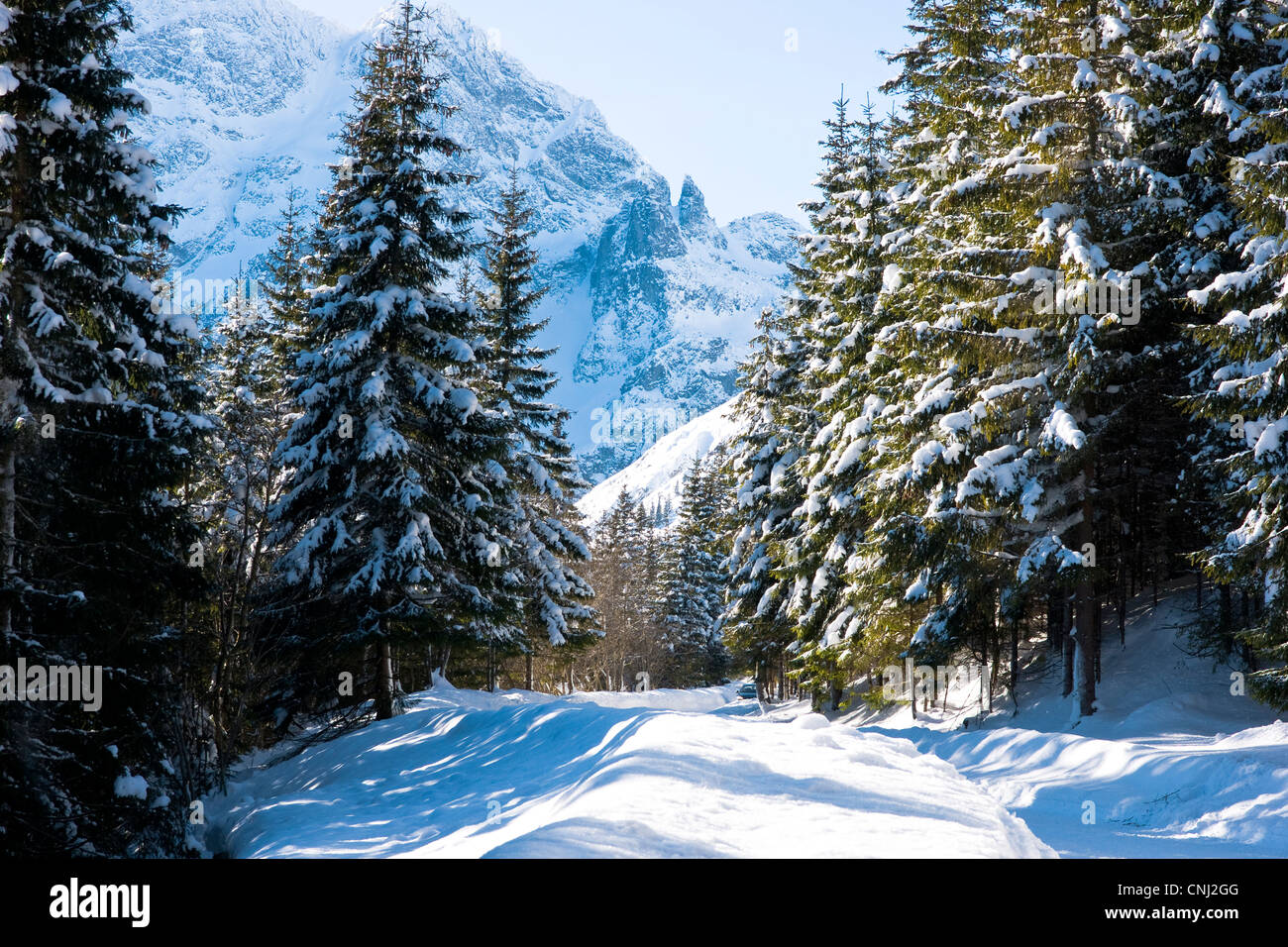 Winter panorama high tatras hi-res stock photography and images - Alamy