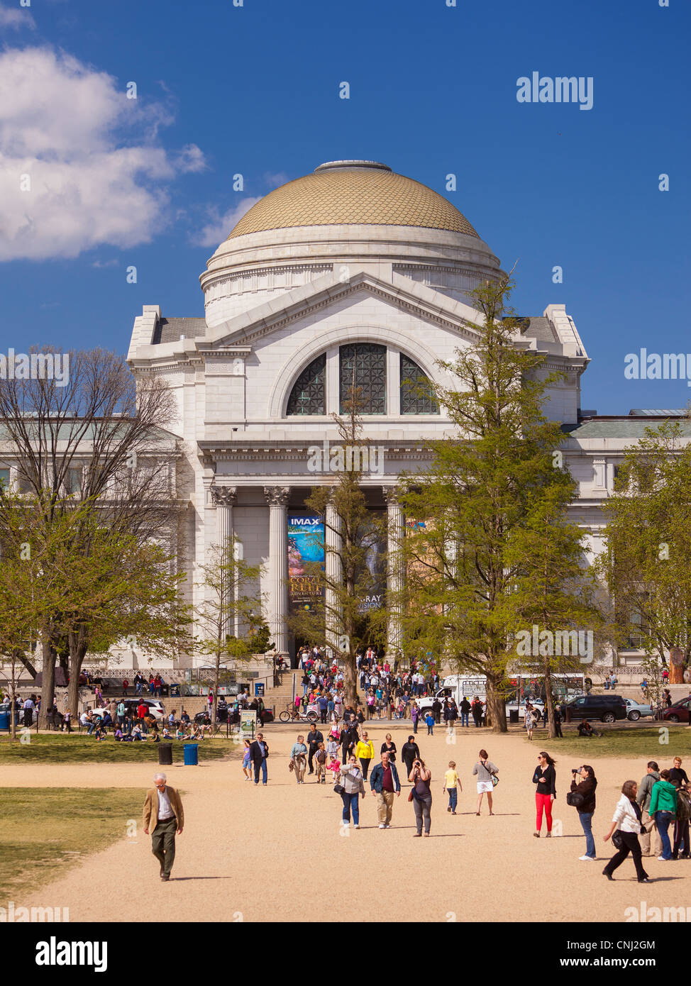 National Museum Of Natural History Dc Exterior Stock Photos & National ...