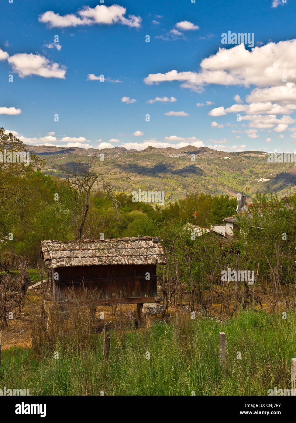 Avia valley in O Ribeiro, Galicia, northwest of Spain Stock Photo - Alamy