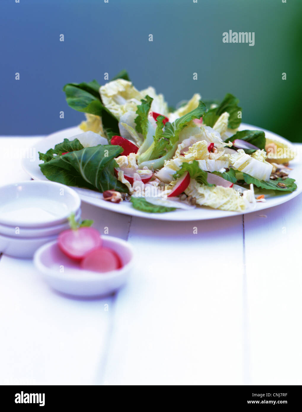 Pak - Choi - salad with sprouts Stock Photo - Alamy