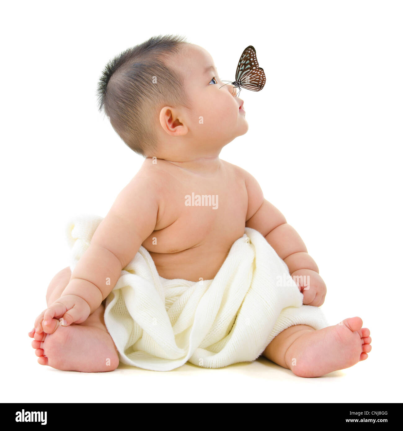 Butterfly flying to Asian baby boy nose, on white background Stock ...