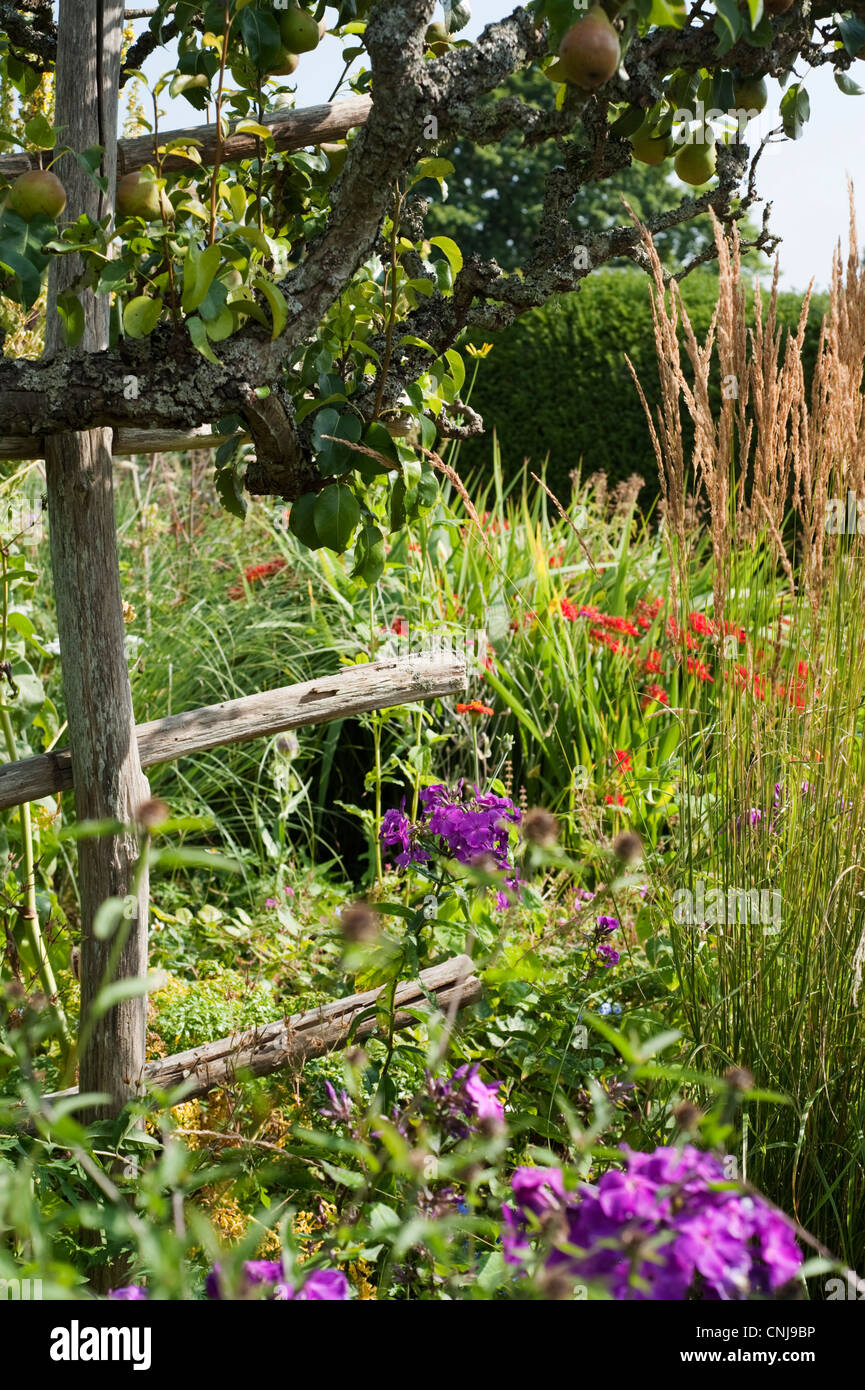 Pear trees in the gardens created by the gardener Christopher Lloyd at ...
