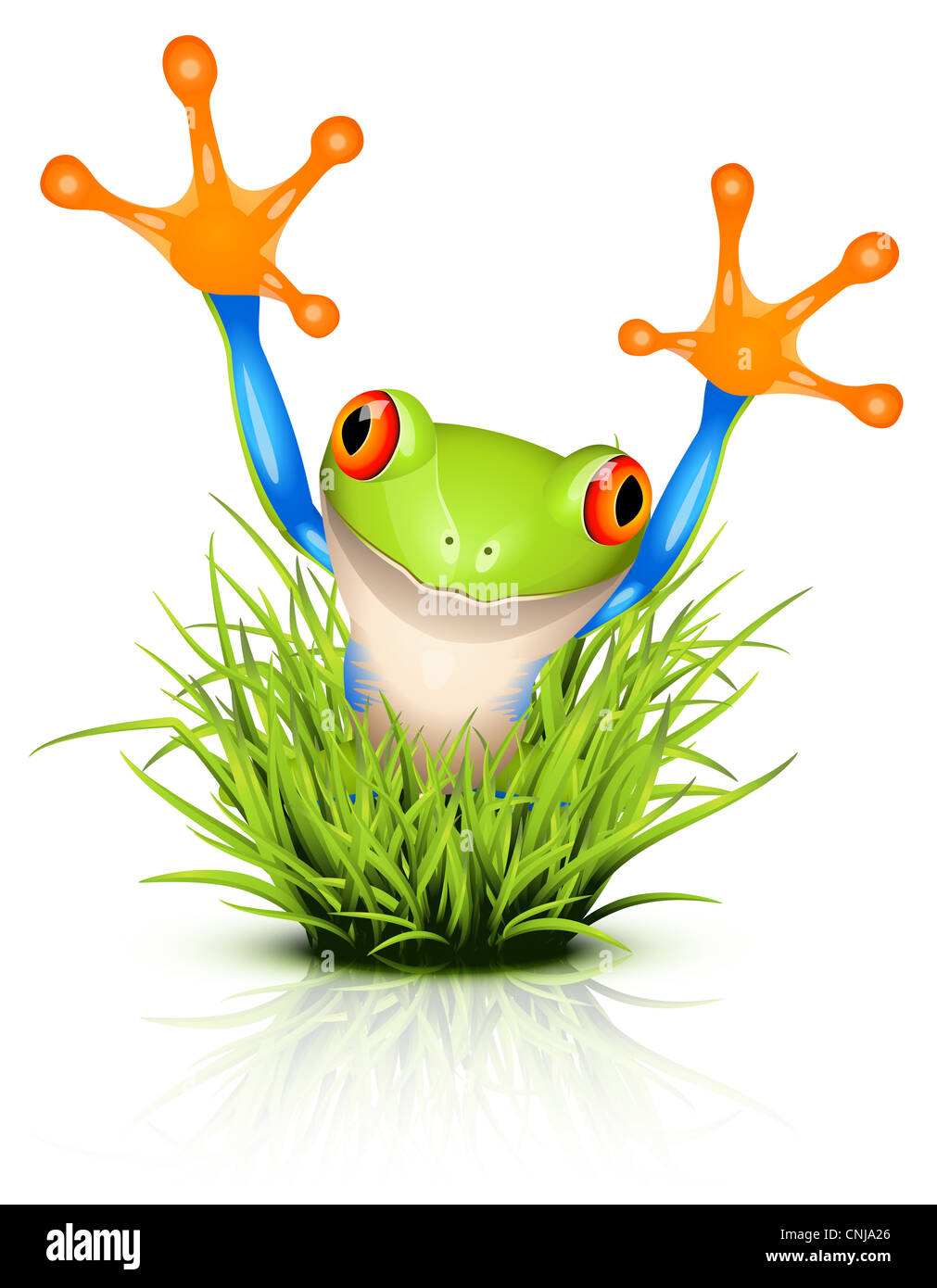 Little tree frog on reflective grass Stock Photo - Alamy