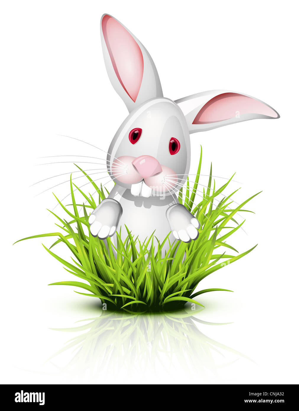 Little white rabbit on reflective grass Stock Photo - Alamy