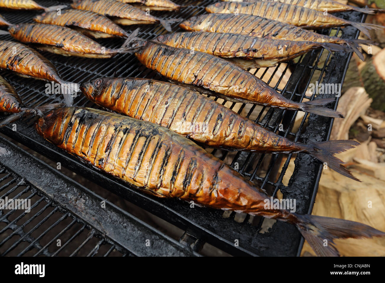Smoked Mackerel cooling outside Richardson's Smokehouse Orford Suffolk ...