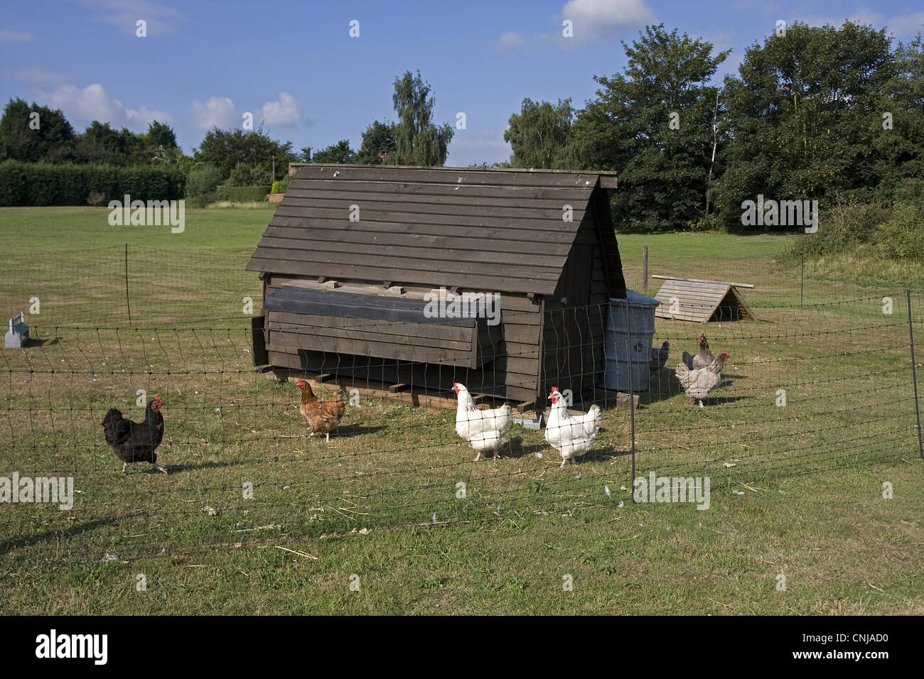 Chicken run enclosure hi-res stock photography and images - Alamy