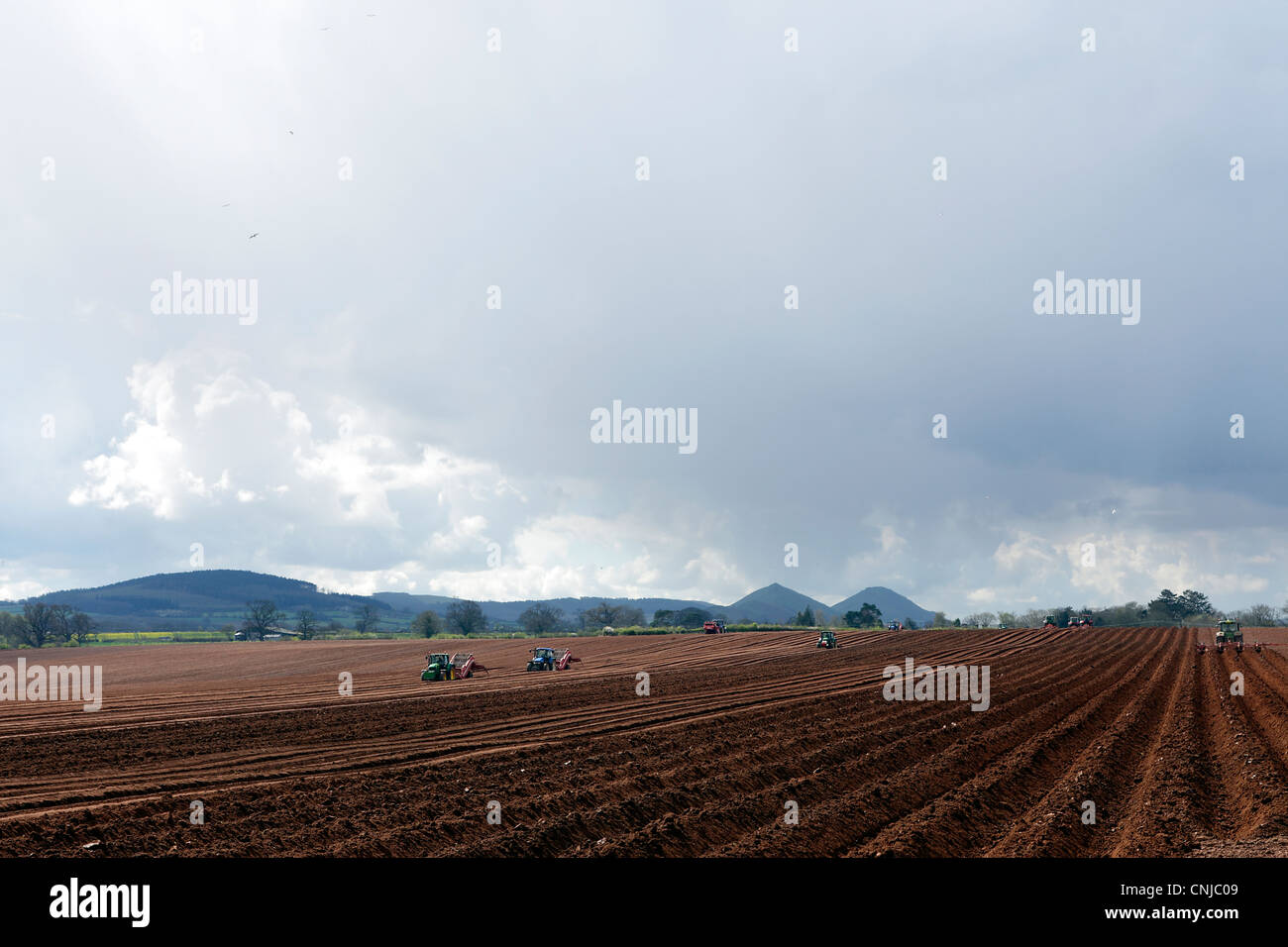 British potato farming hi-res stock photography and images - Alamy