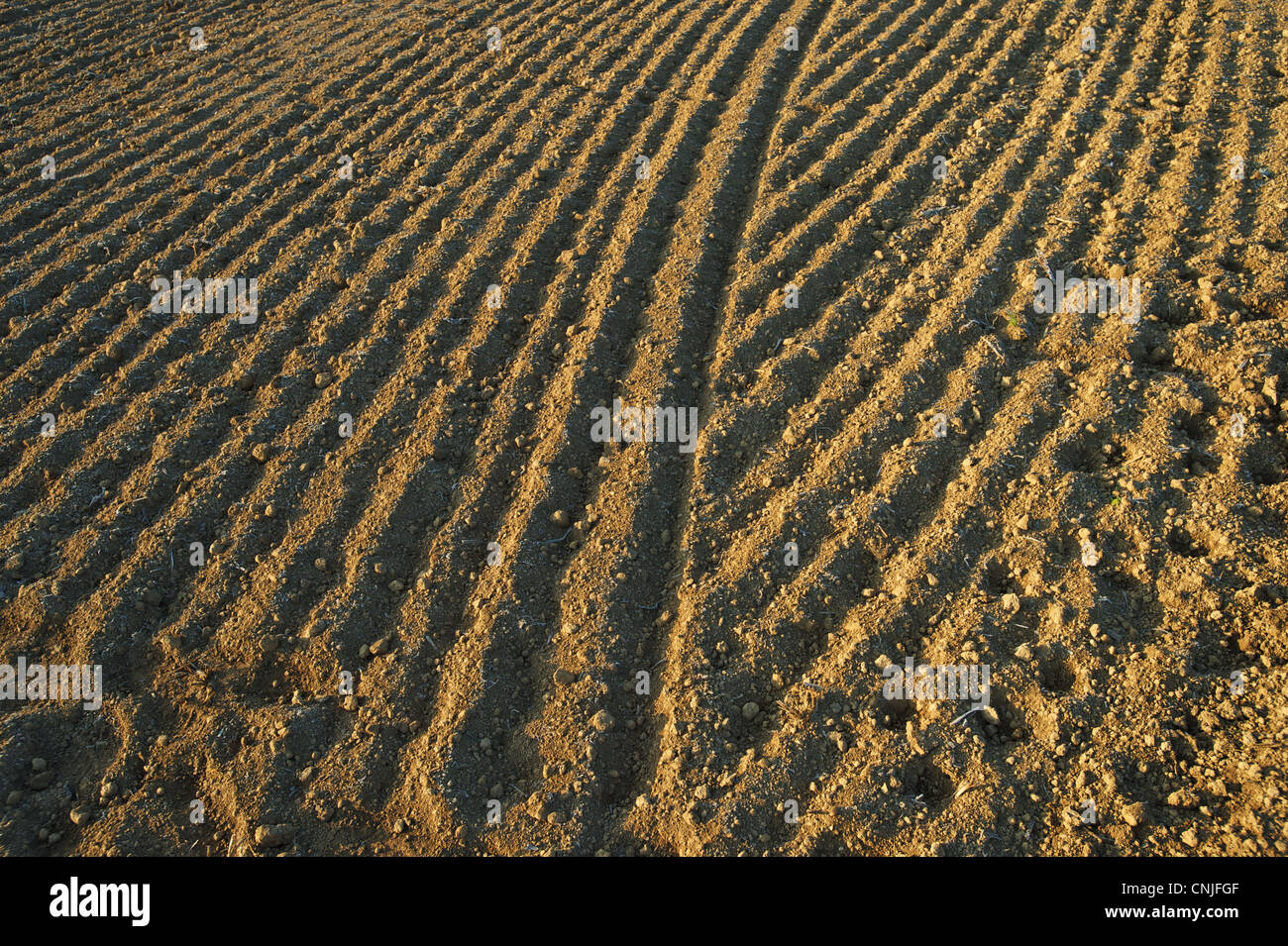 Intersecting line patterns hi-res stock photography and images - Alamy