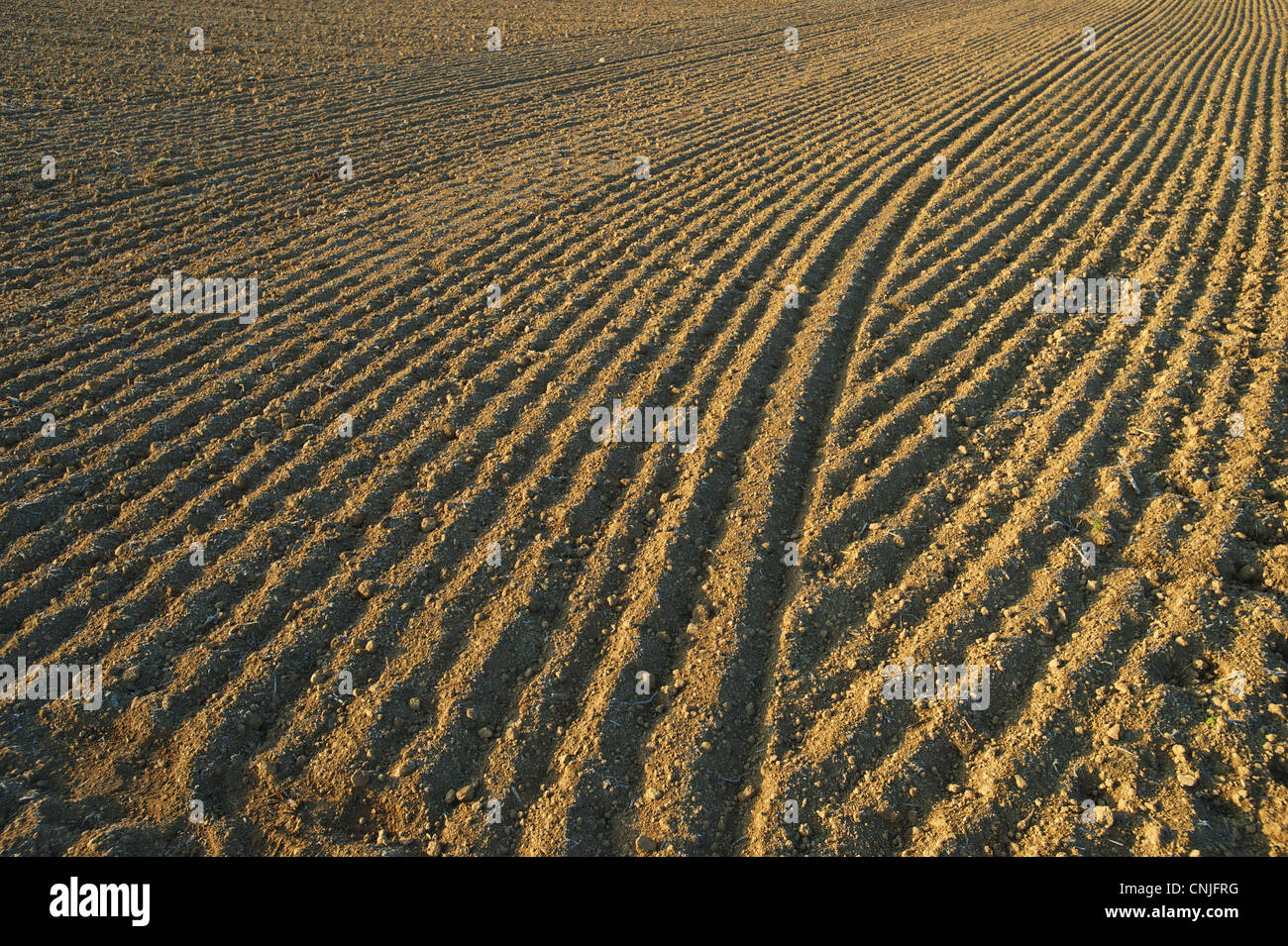 cultivated field ready for planting with lines intersecting patterns of ...
