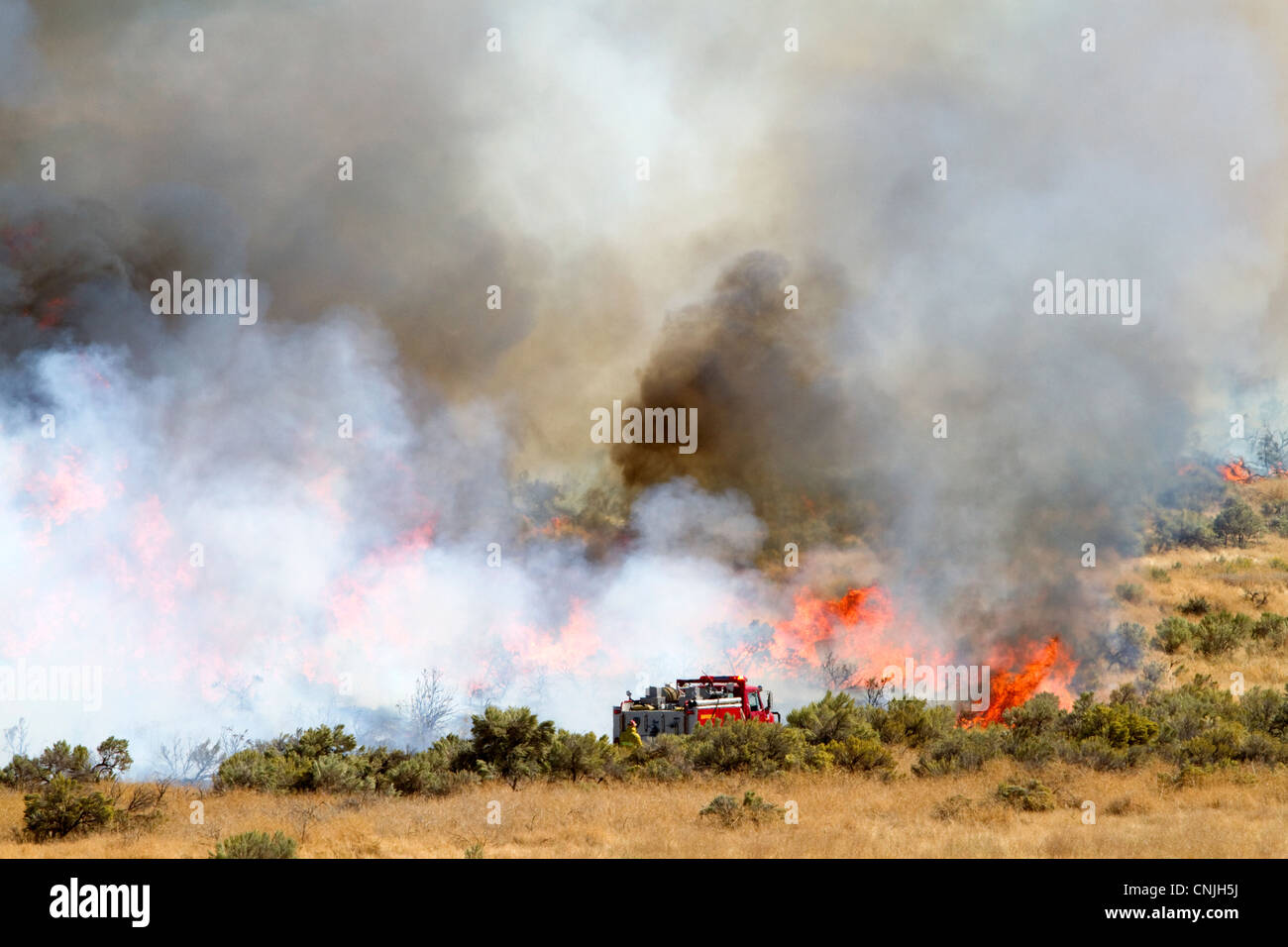 City wildfire smoke hi-res stock photography and images - Alamy
