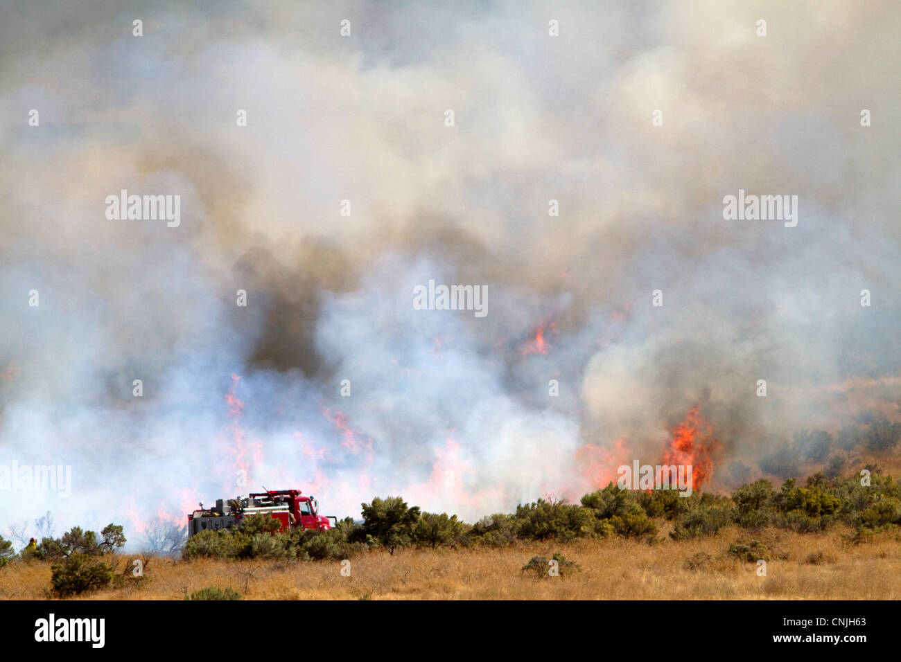 City wildfire smoke hi-res stock photography and images - Alamy