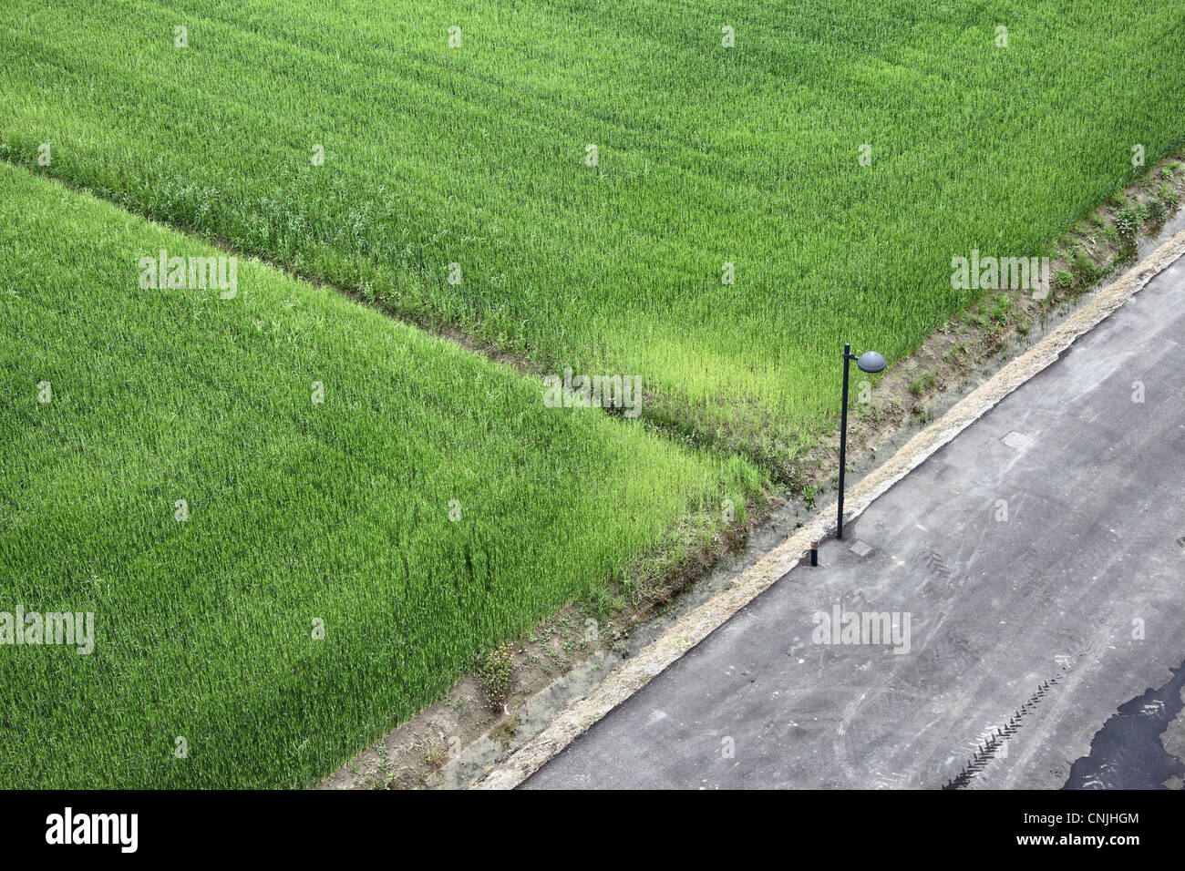 green field and asphalt Stock Photo - Alamy