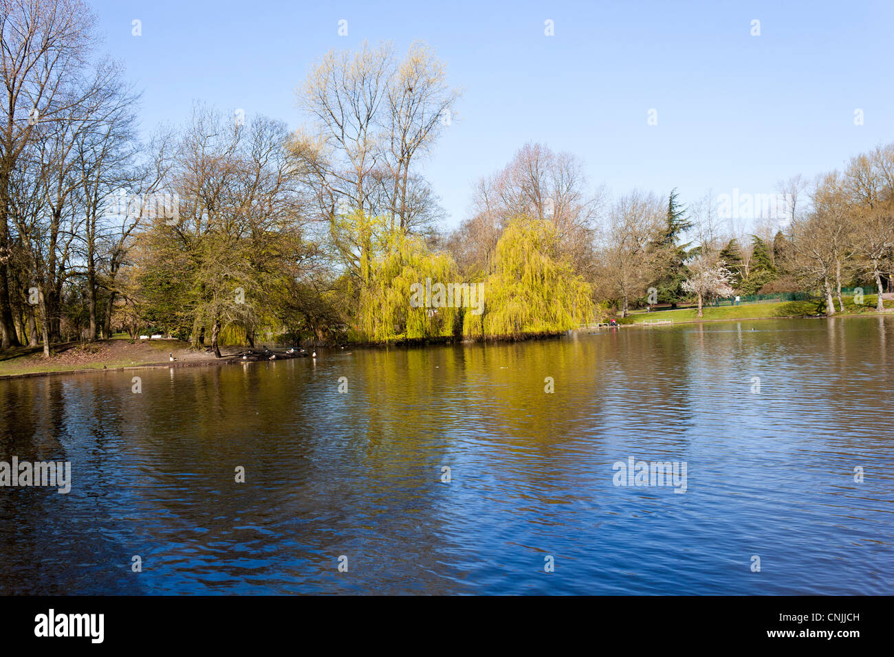 Hanley park Stoke on Trent in the spring Stock Photo - Alamy