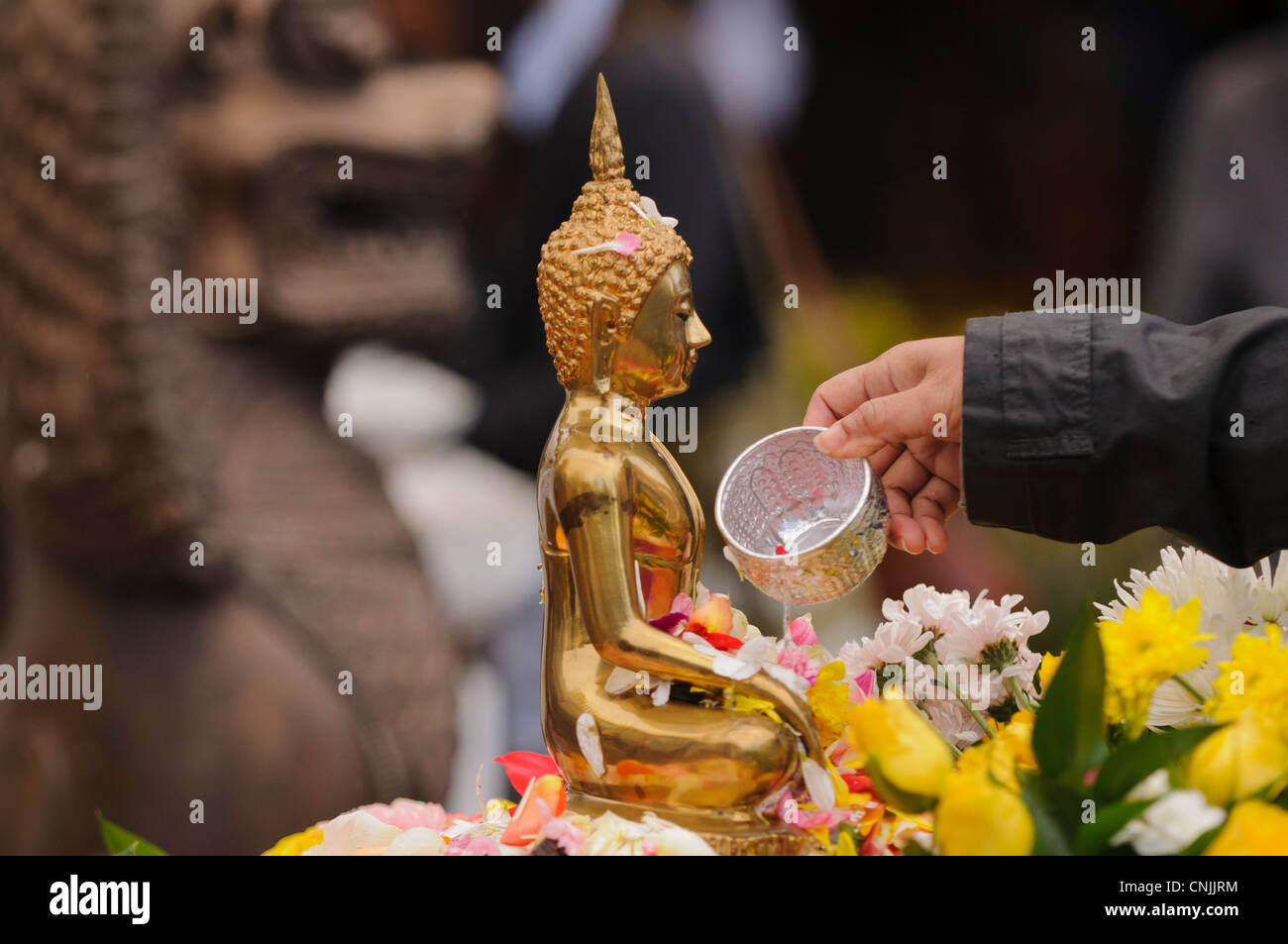 At the Thai temple of Wat Buddhapadipa to celebrate Songkran, Thai New ...