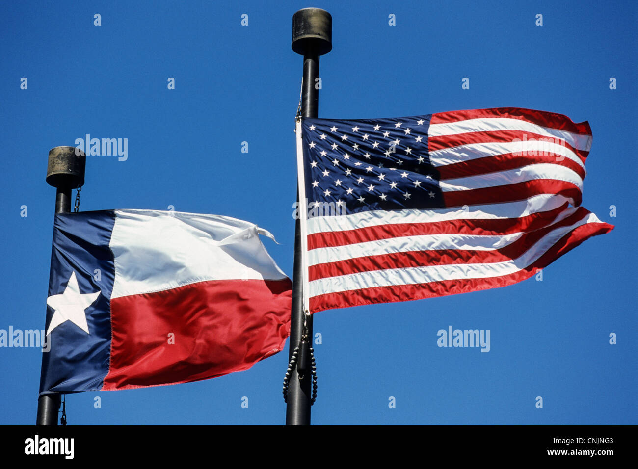 American and Texas State flags, Austin, Texas, USA Stock Photo - Alamy