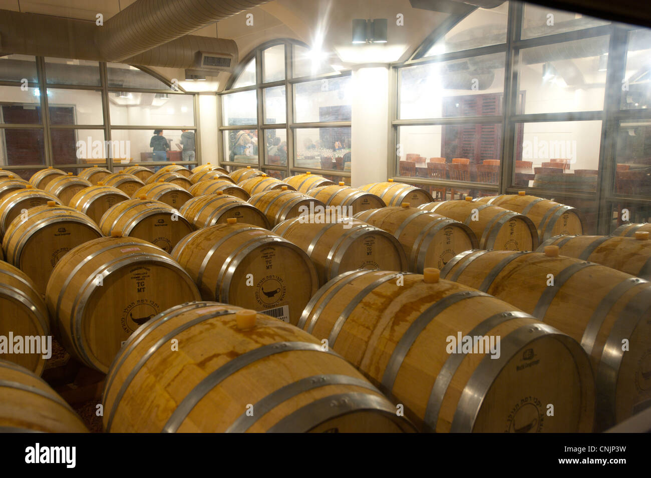 Middle East Israel - Golan Heights Winery - Golan Heights- barrels of ...