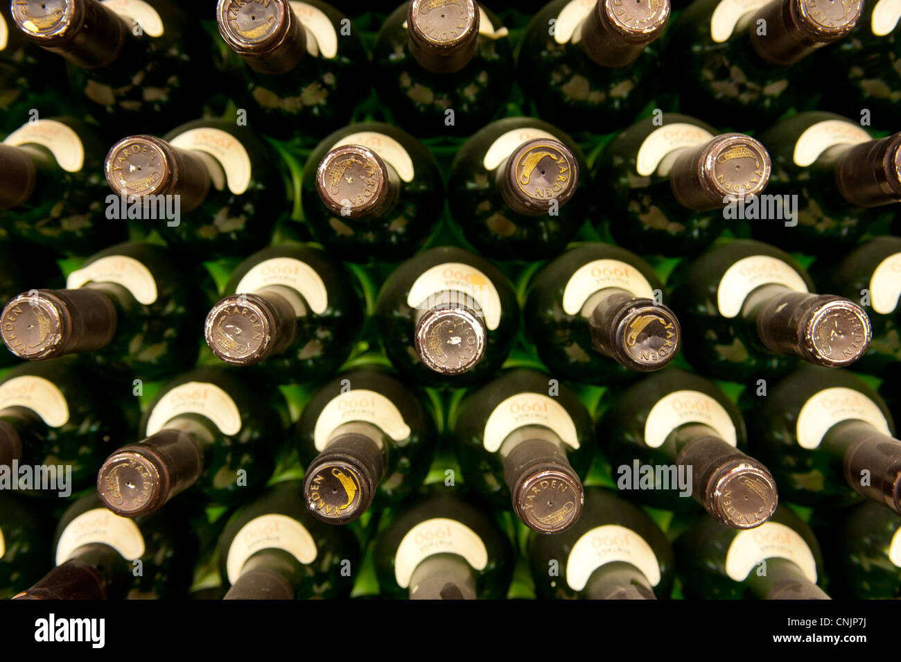Israel vineyard hi-res stock photography and images - Alamy
