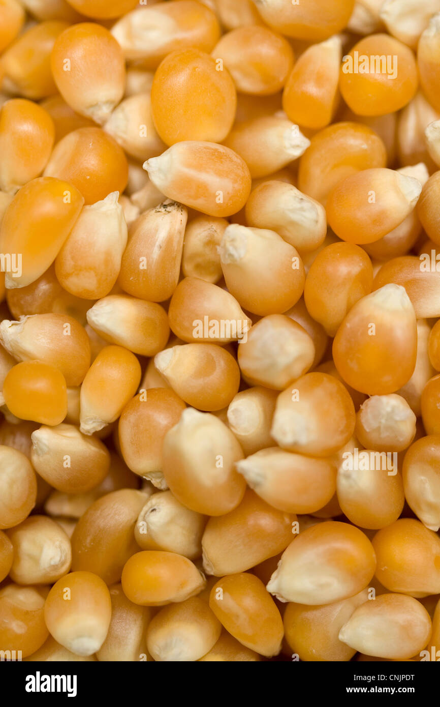 Popcorn with kernels hi-res stock photography and images - Alamy