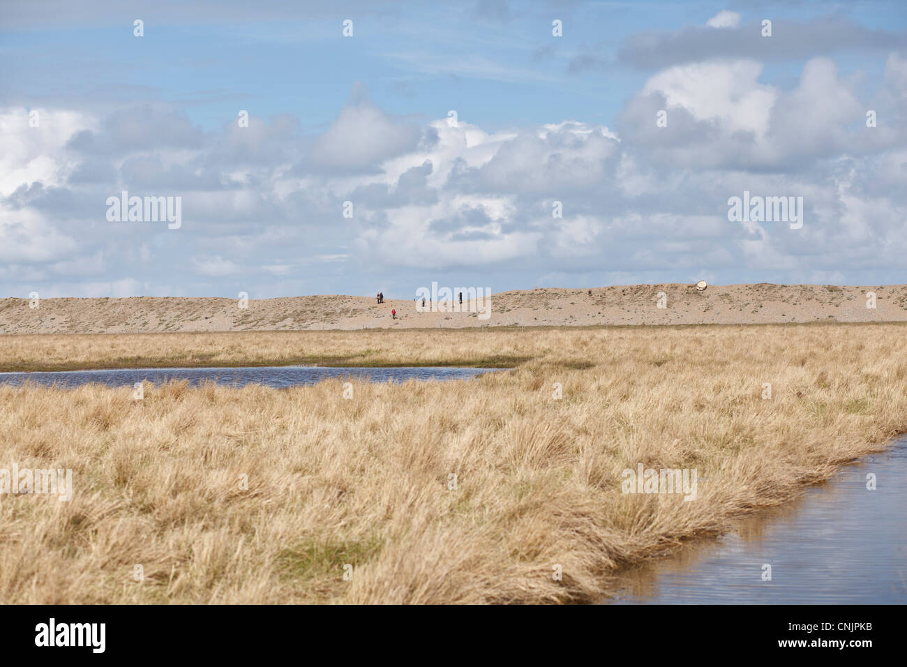 A beautiful morning for walking out on the wild life protected marshes ...
