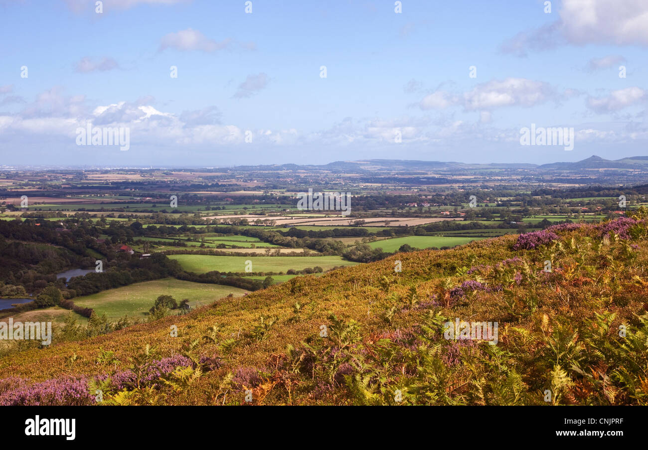 Teeside from the North York Moors Stock Photo - Alamy