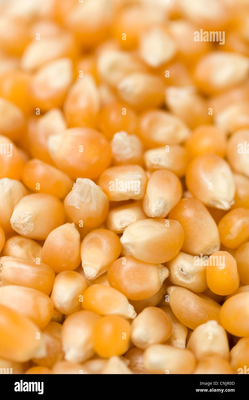 Popped maize hi-res stock photography and images - Alamy
