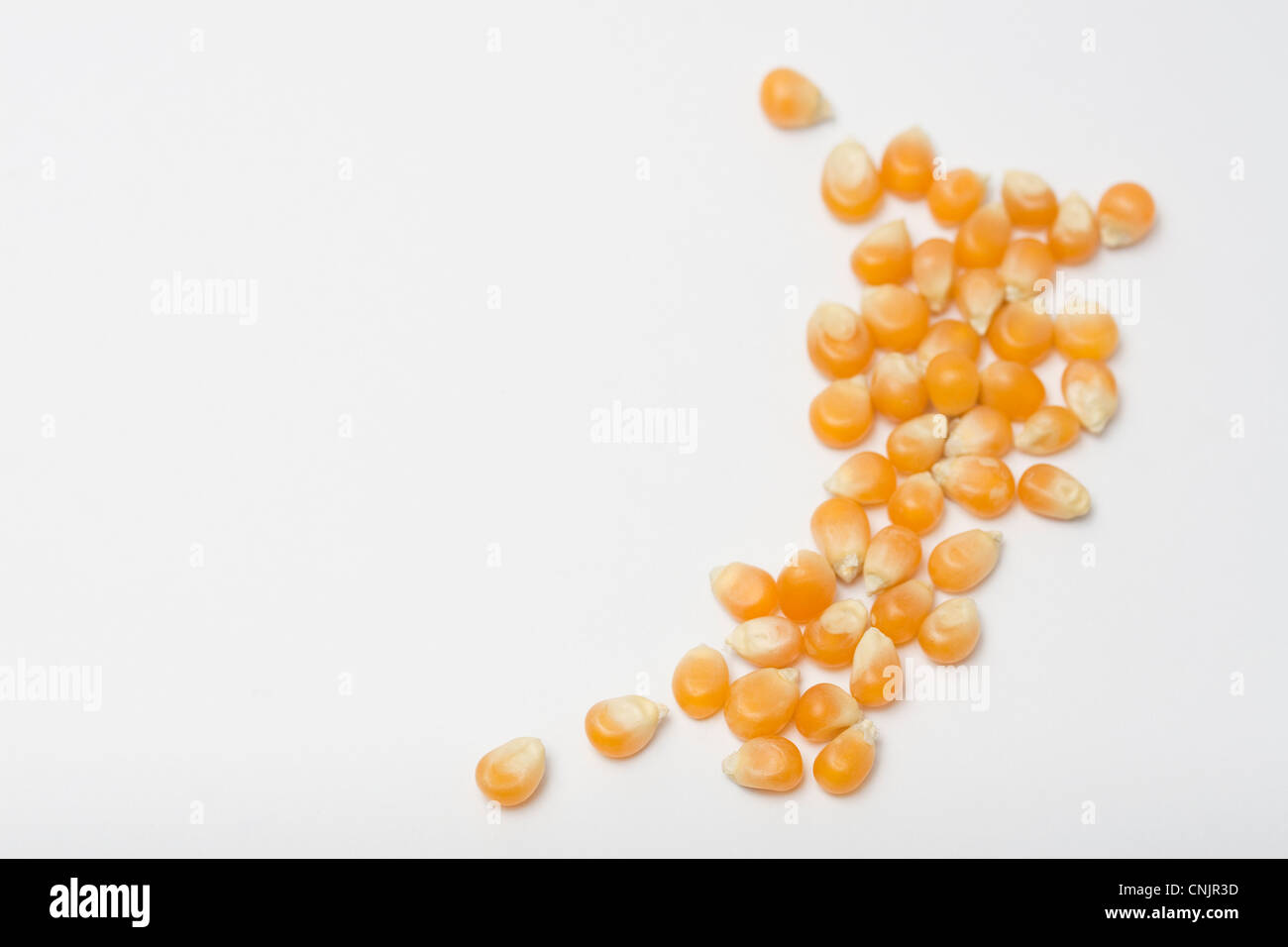 Un-popped popcorn on a white background Stock Photo - Alamy