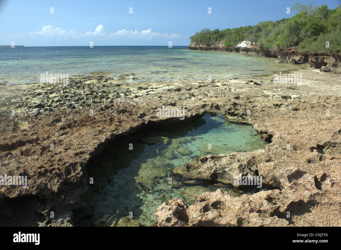 Bongoyo island near Dar es Salaam, Tanzania Stock Photo - Alamy