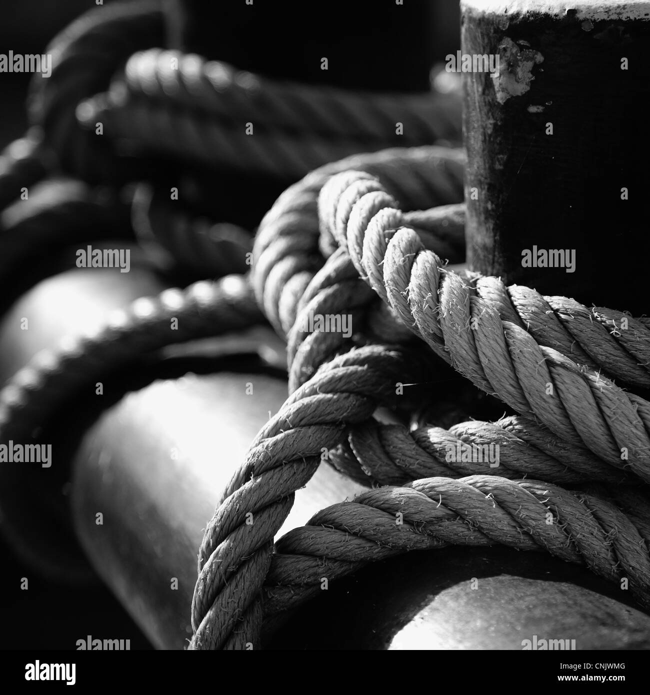 Hanging Rope Black And White