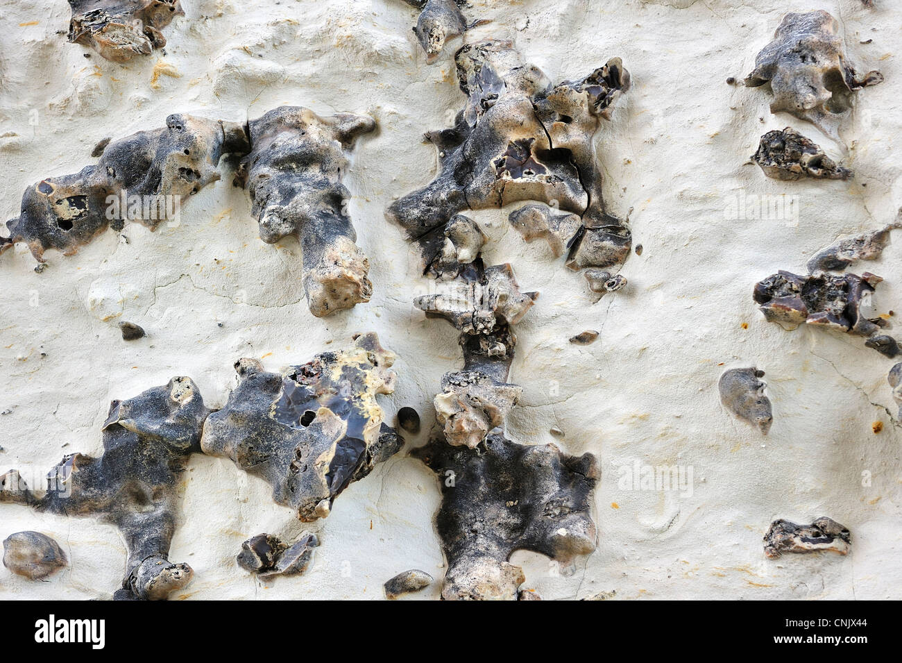 Layers of flint / chert in chalk cliff at Etretat, Upper Normandy ...