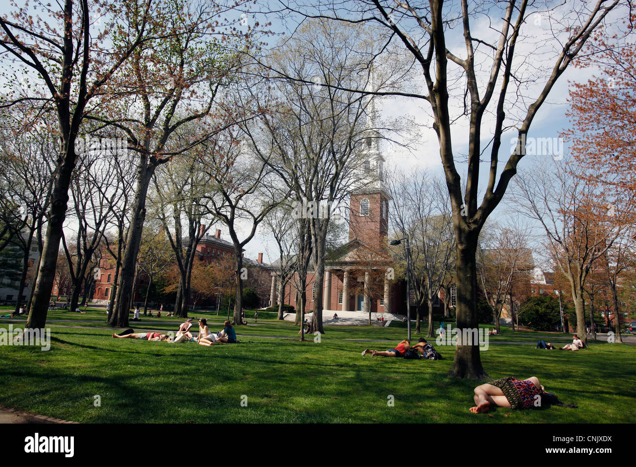 Harvard University, Harvard Yard, Memorial Church Stock Photo - Alamy