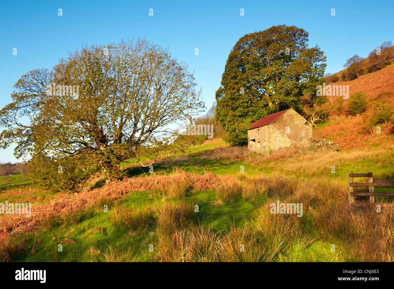 Pentyrch hi-res stock photography and images - Alamy