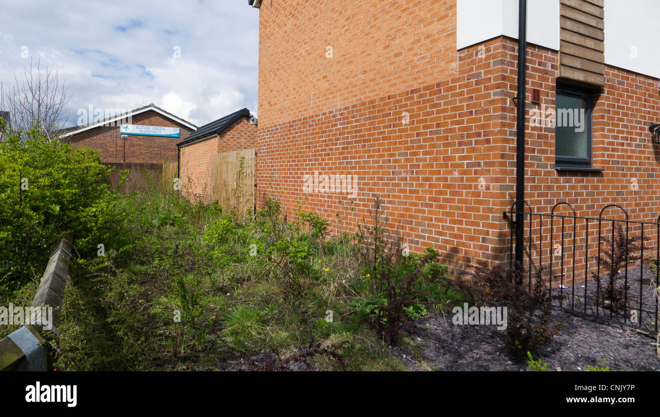 Waste ground weeds hi-res stock photography and images - Alamy