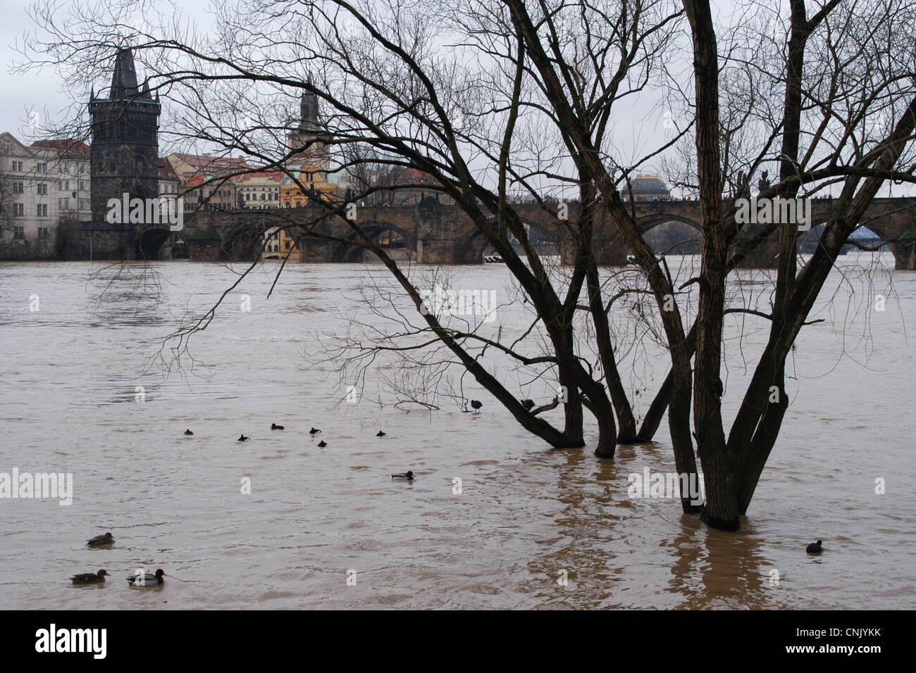 Flood in the Vltava River in Prague, Czech Republic, on January 4, 2003 ...