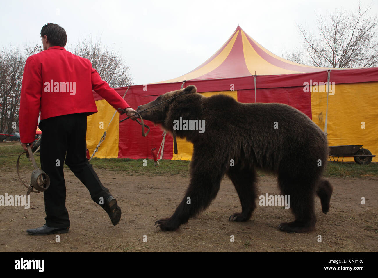 Animal trainer Hynek Navratil Junior and trained bear Matej in Humberto ...