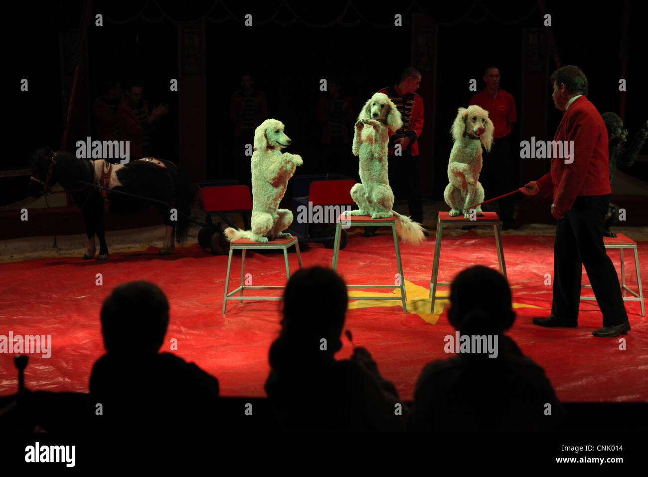 Circus performance dog trainer hi-res stock photography and images - Alamy