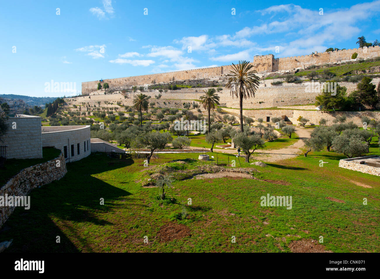 Middle East Israel The Old City of Jerusalem looking towards the ...