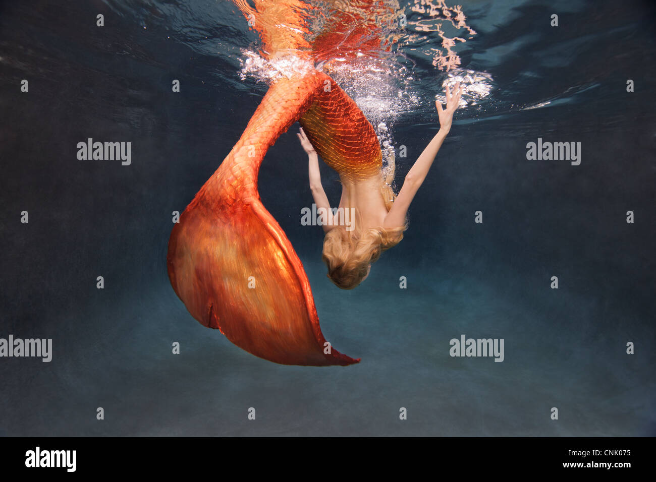 Young Mermaid Swimming Underwater High Resolution Stock Photography and ...