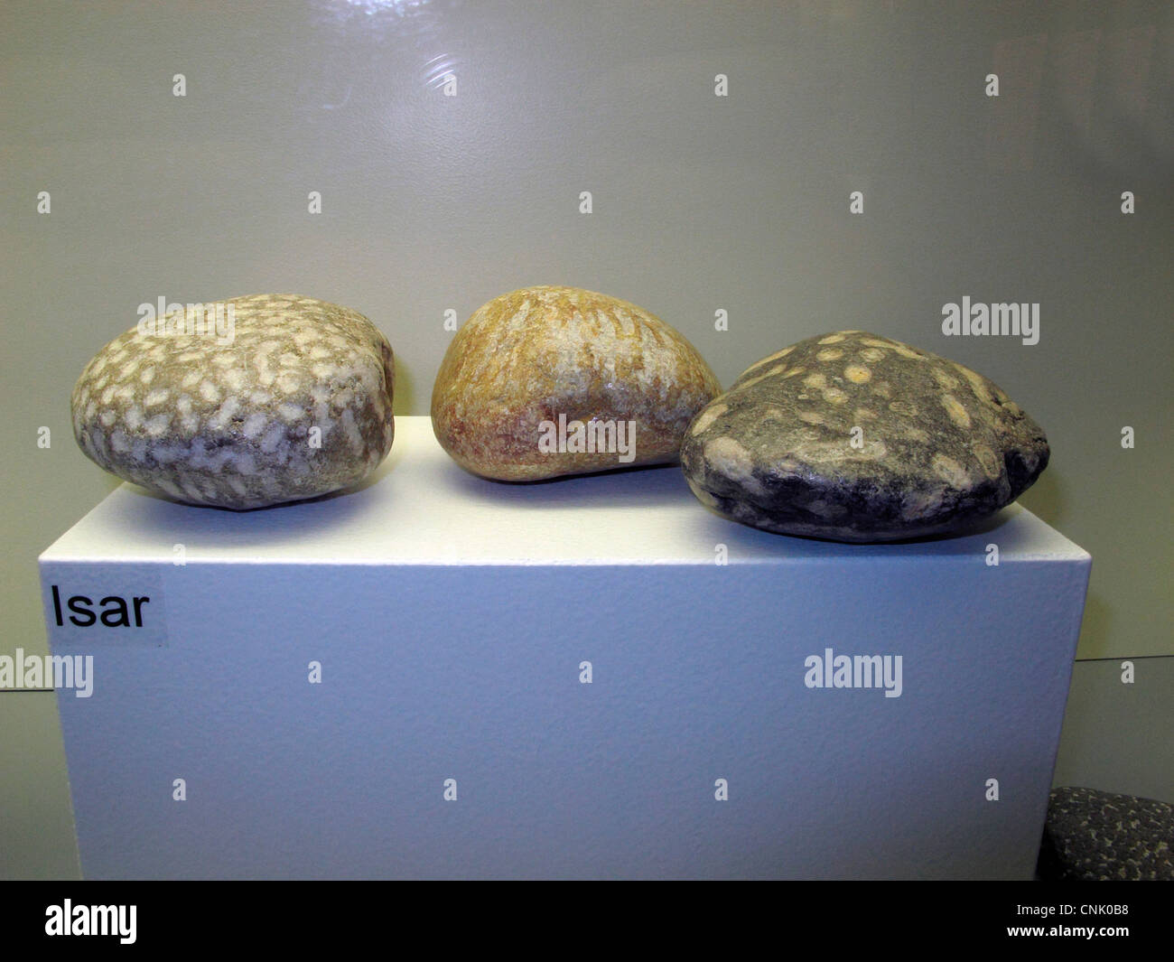 Coral stone hi-res stock photography and images - Alamy