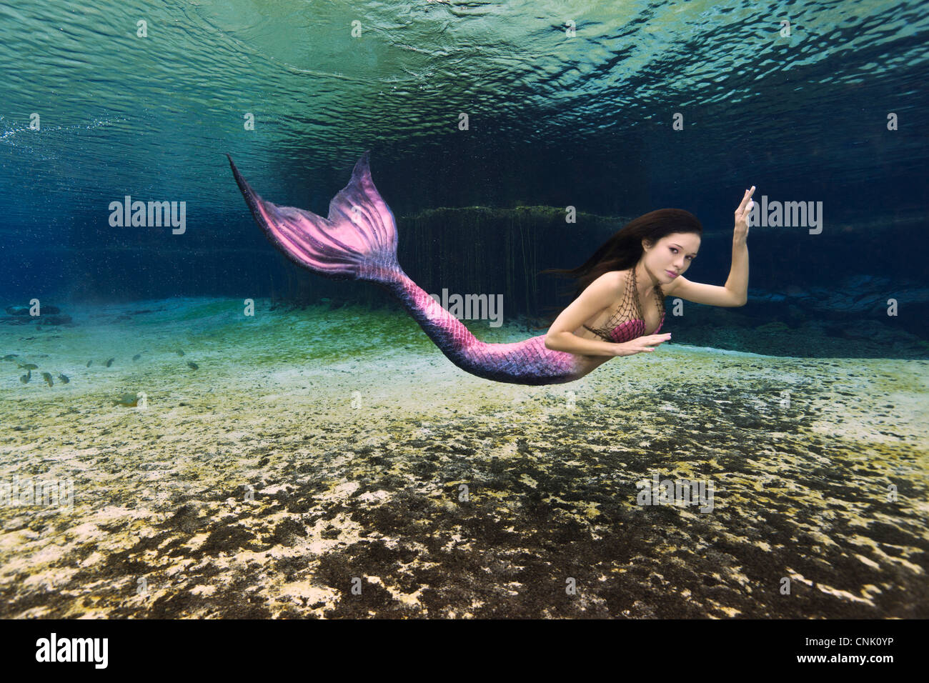 Young mermaid swimming underwater in the Rainbow River in Florida Stock Photo - Alamy