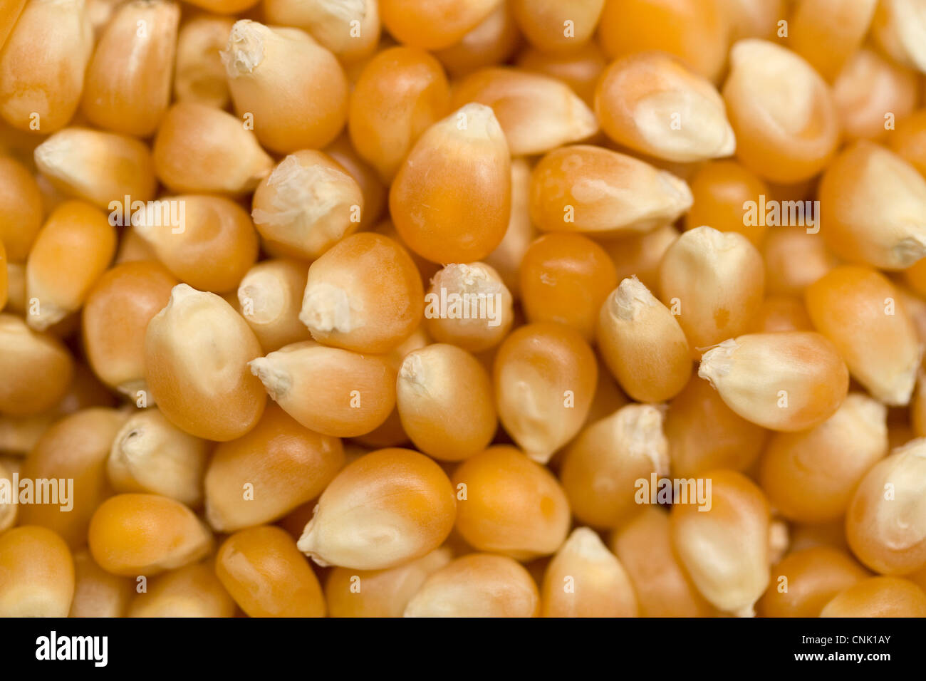 Popcorn with kernels hi-res stock photography and images - Alamy