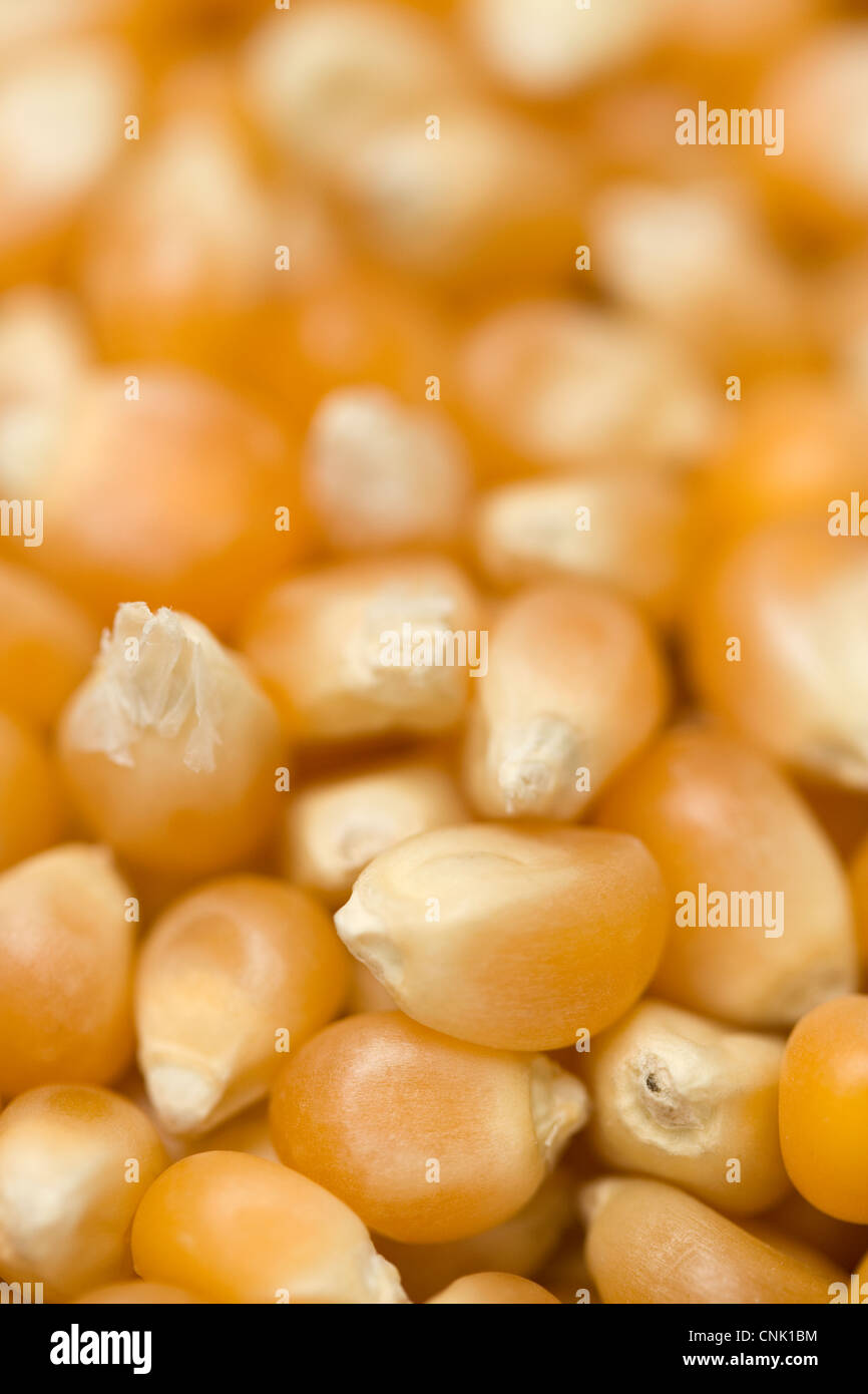 Popcorn with kernels hi-res stock photography and images - Alamy