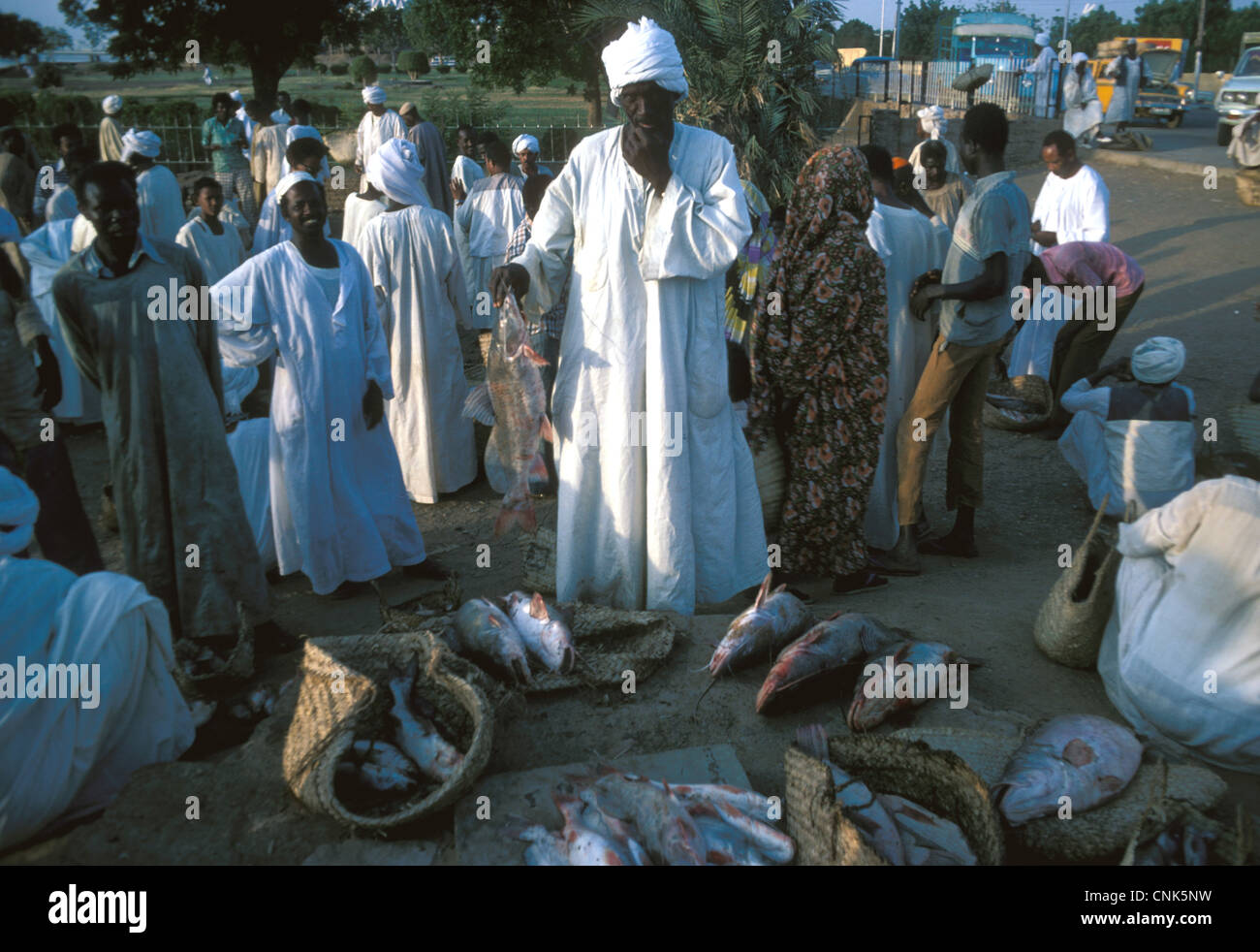 Fish Market Omdurman Sudan High Resolution Stock Photography and Images ...