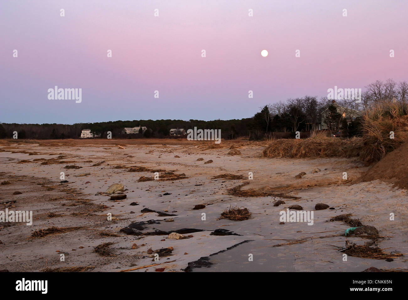 The moon shines on a Cape Cod beach in December amidst the colors of ...