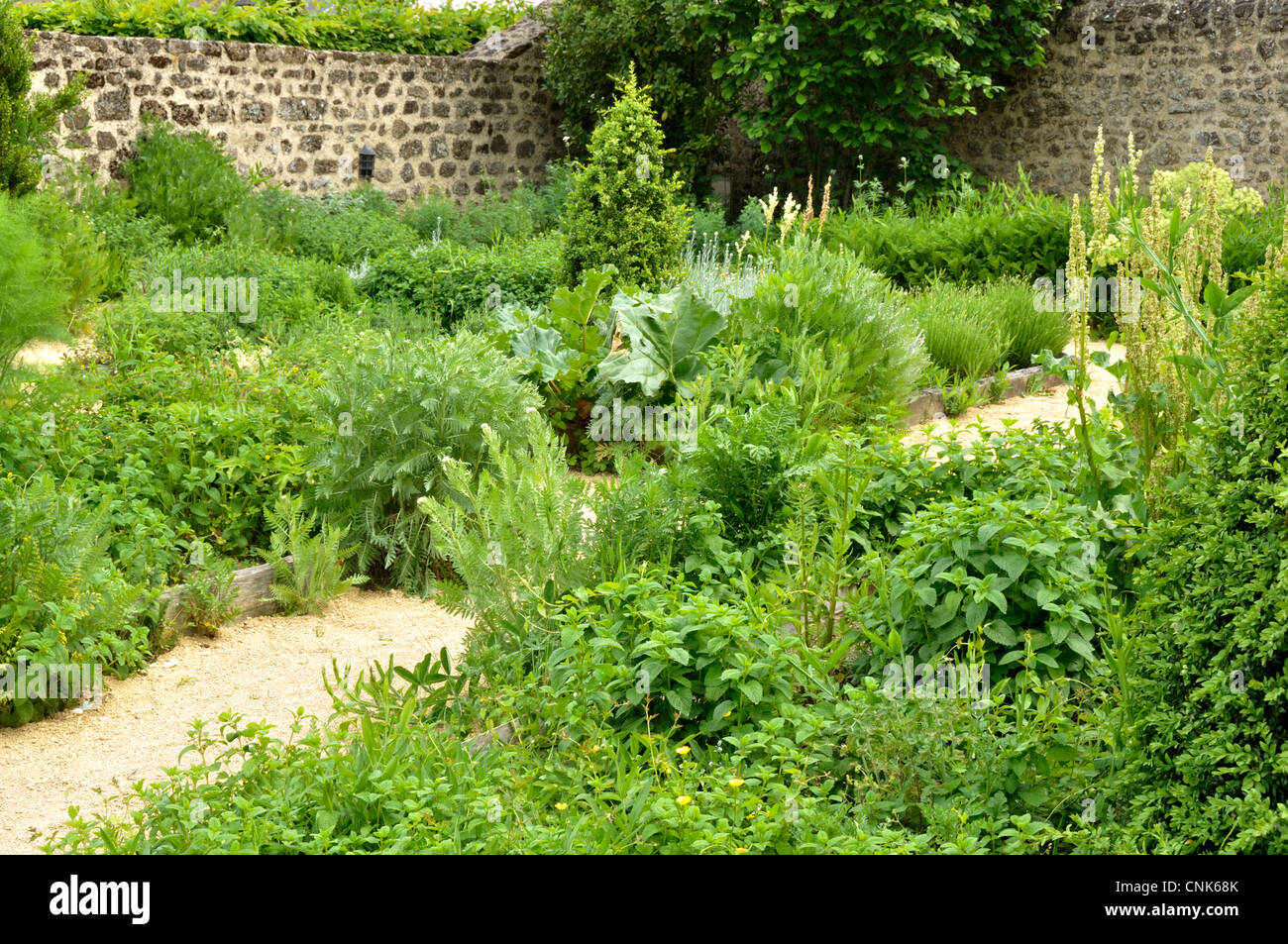 Medieval garden hi-res stock photography and images - Alamy