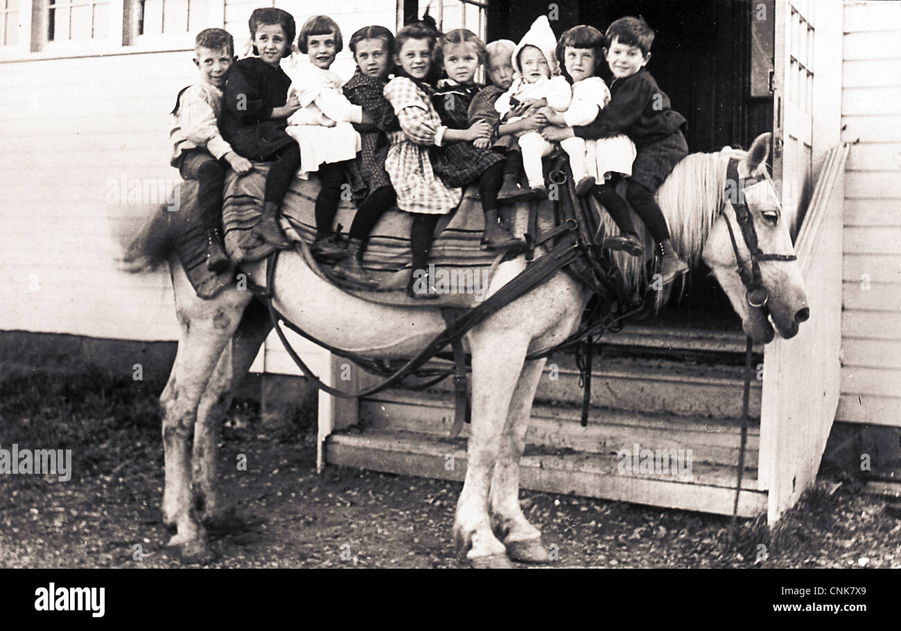 Overloaded School Horse Stock Photo - Alamy