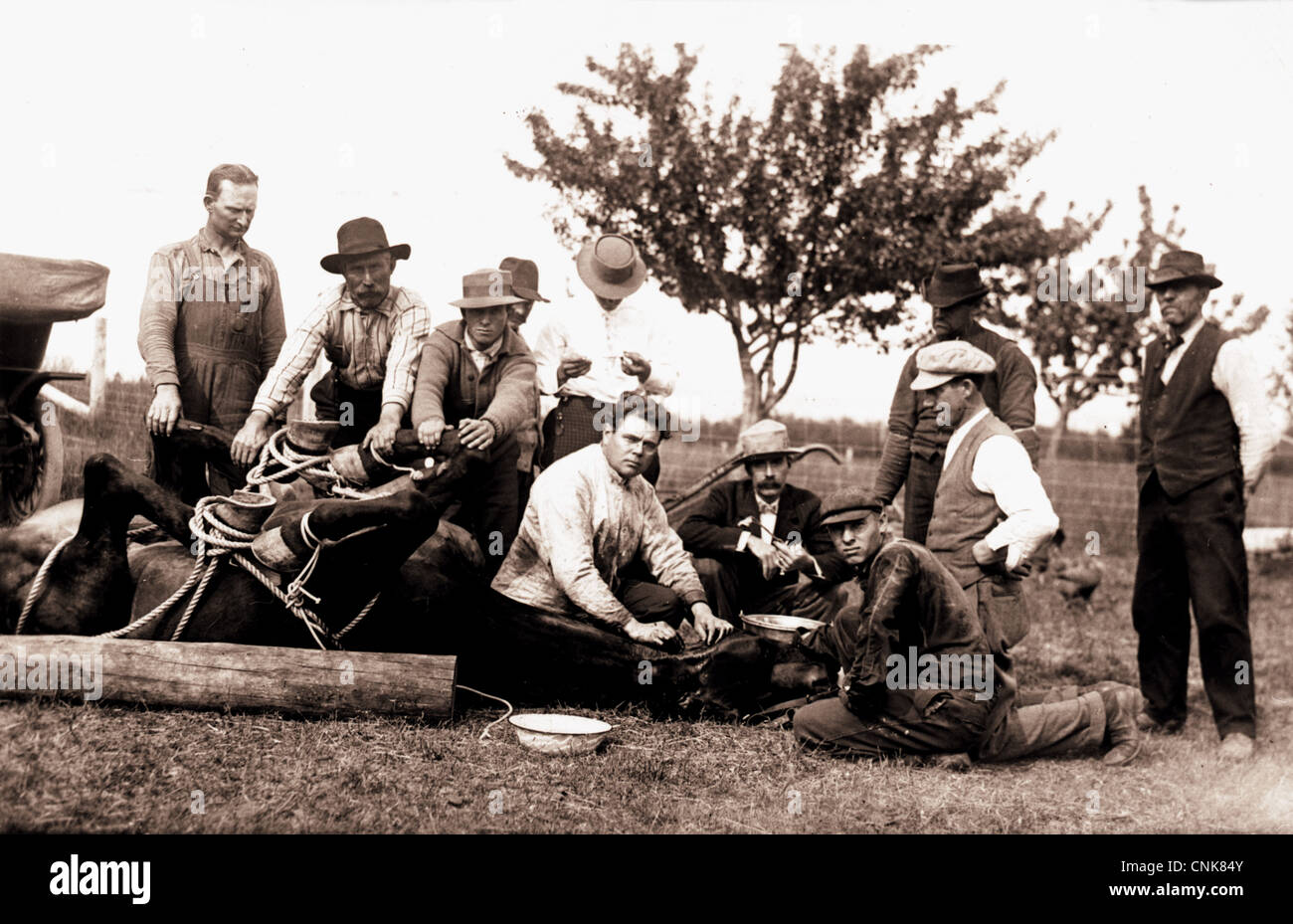 Injured cowboy hi-res stock photography and images - Alamy