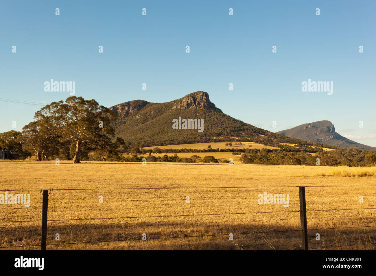 Afternoon light on Mount Sturgeon and Mount Abrupt near Dunkeld in the ...