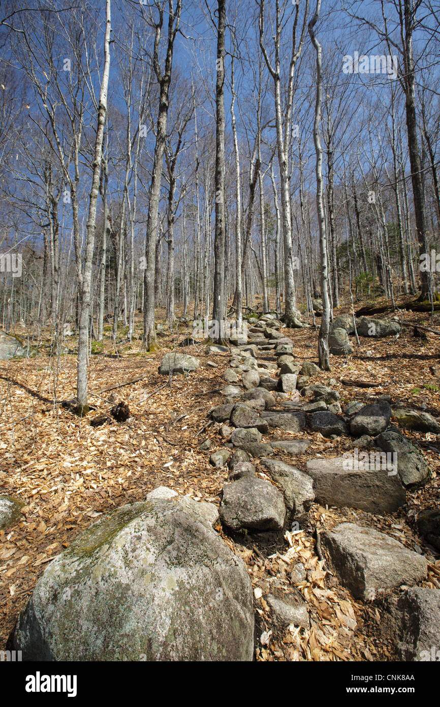 Appalachian Trail in the White Mountains, New Hampshire USA Stock Photo ...