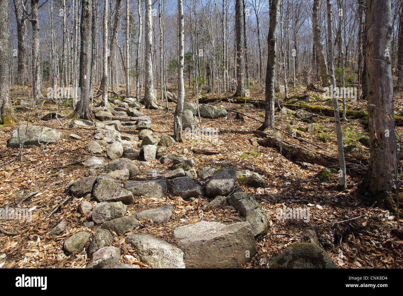 Appalachian Trail in the White Mountains, New Hampshire USA Stock Photo ...