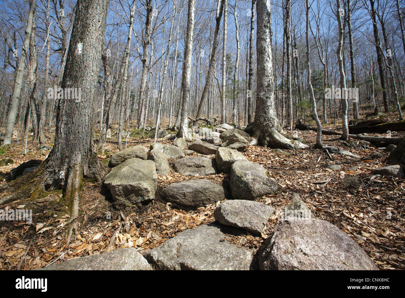 Appalachian Trail in the White Mountains, New Hampshire USA Stock Photo ...